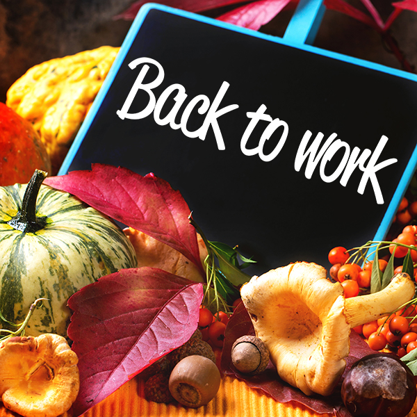 Back to work: Top 5 things to do this fall